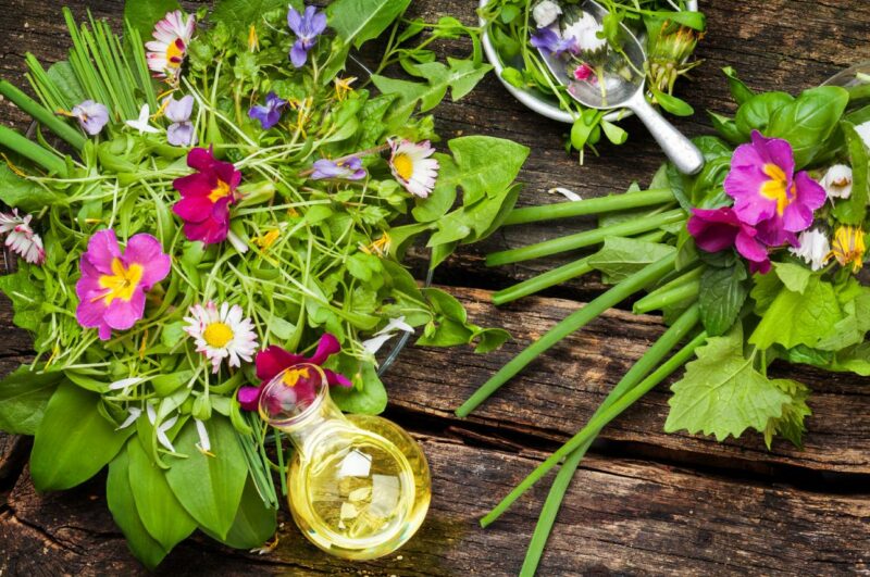 5 Plantas Com Flores Comestíveis Que Vai Querer Ter Em Sua Casa - VIPLANT