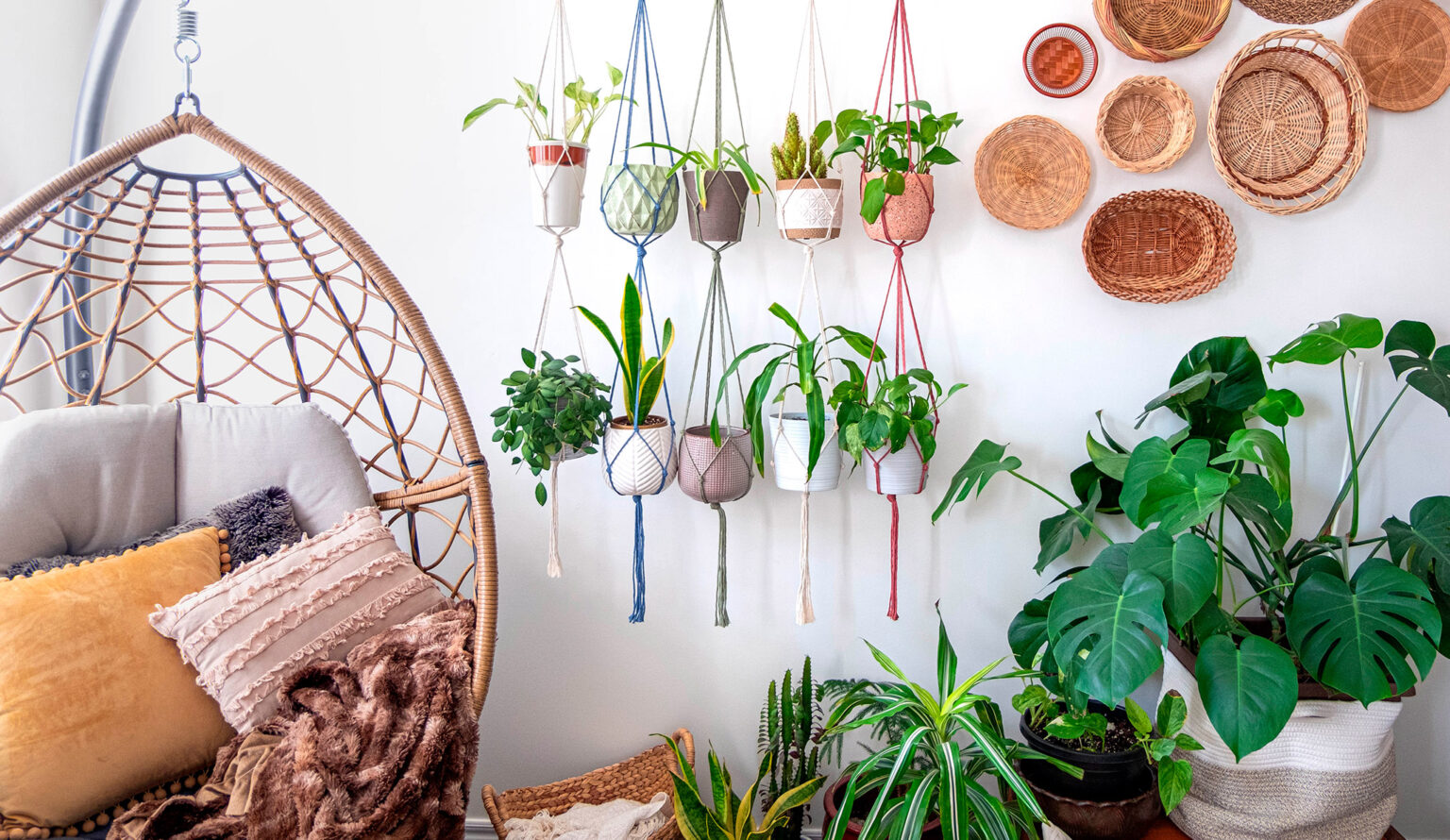 Plant Styling: O Que é E Como Aplicar Em Sua Casa? - VIPLANT